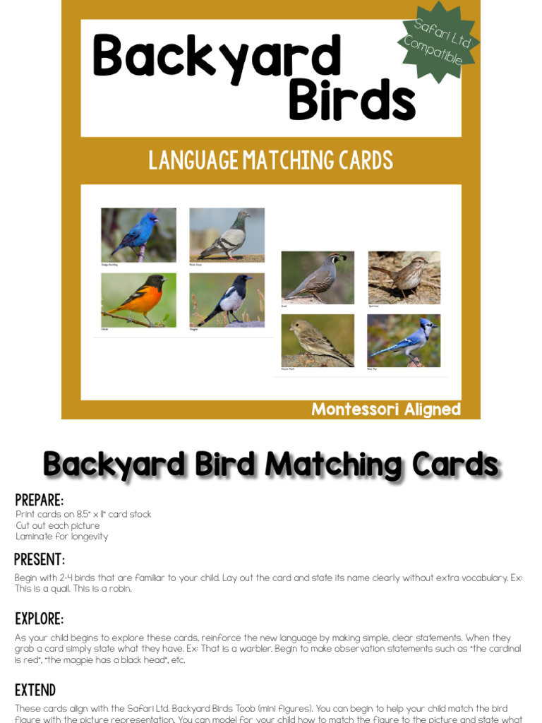 Backyard Birds Toob Cards | PDF