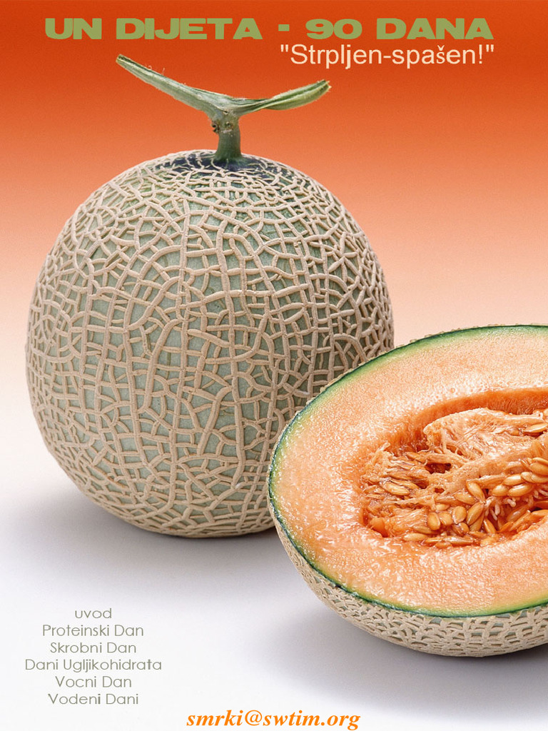 Un Dijeta 90 Dana | PDF