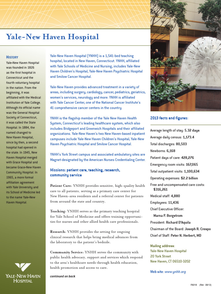 Ynhh Factsheet | PDF | Hospital | Health Sciences