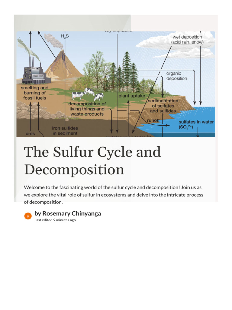 Understanding the Sulfur Cycle and Decomposition | PDF | Sulfur ...