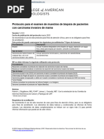 Actualizacion de Protocolos de La Cap | PDF
