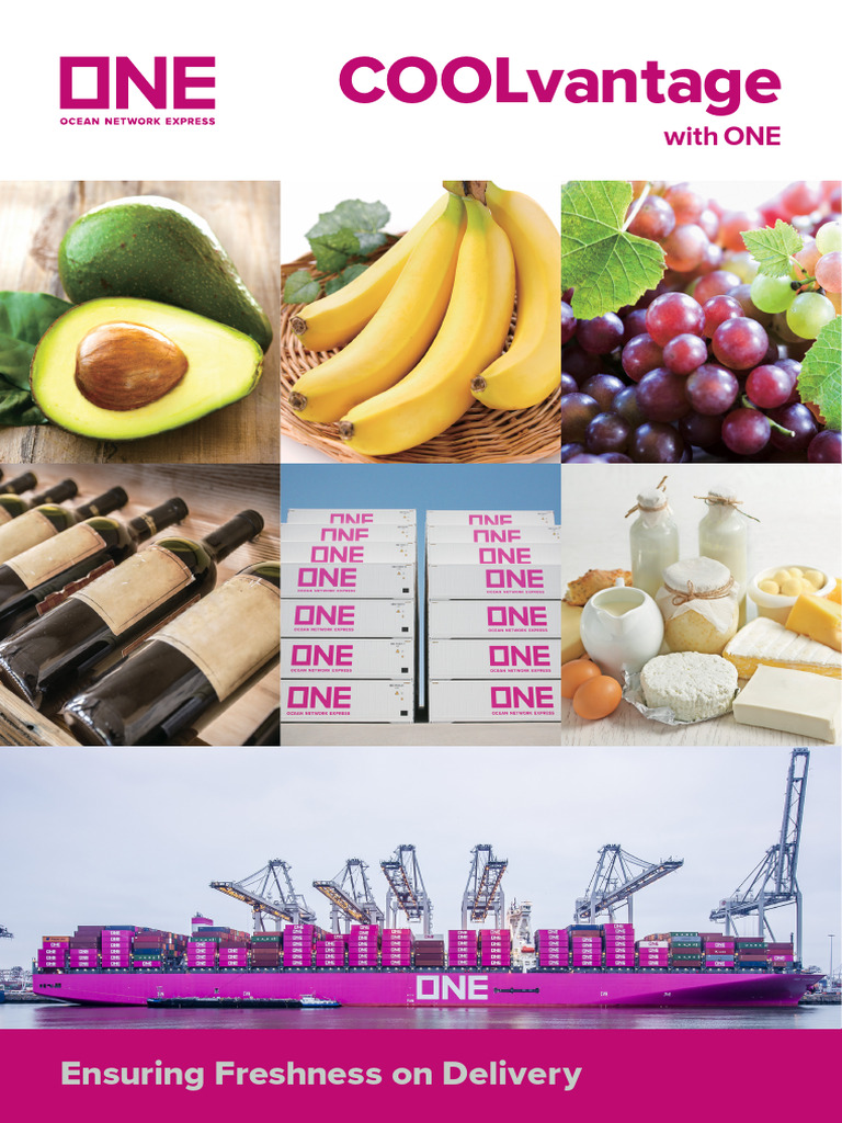ONE Reefer Brochure 202301 | PDF | Decomposition | Cargo