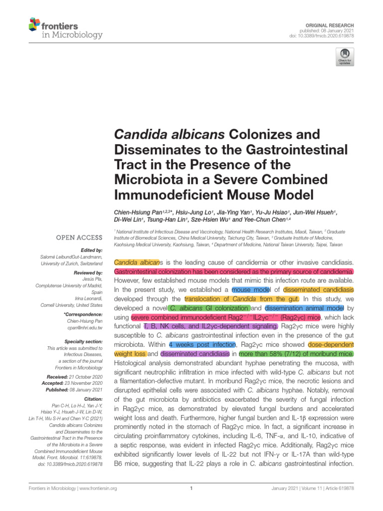 2020 Fim Candida GI Mouse Model | PDF | Candida (Fungus) | Candidiasis