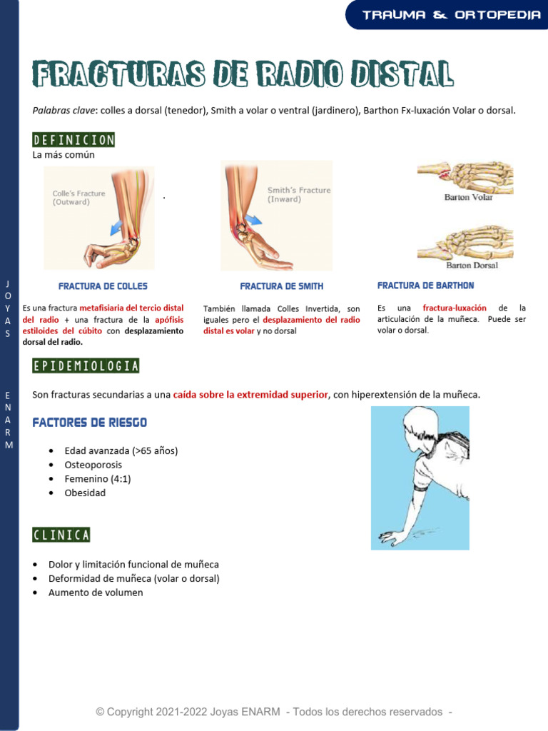 Fracturas de Radio Distal | PDF | Sistema musculoesquelético | Medicina ...