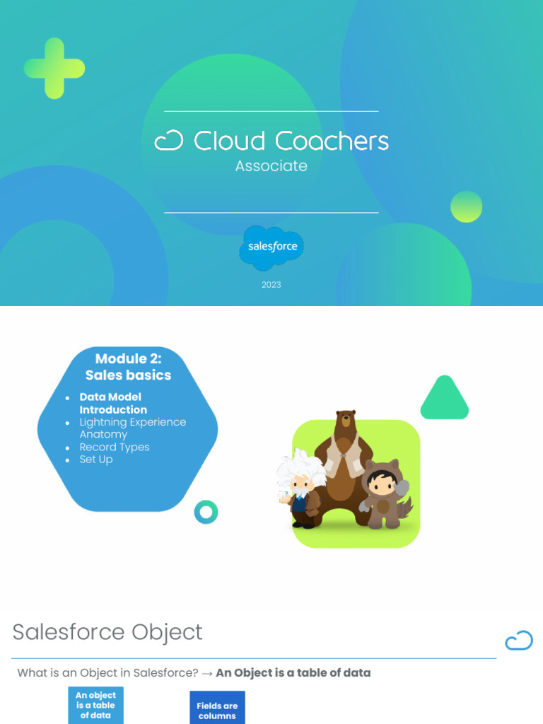 SFDC Training Series - Associate II | PDF | Mobile App | Business Process