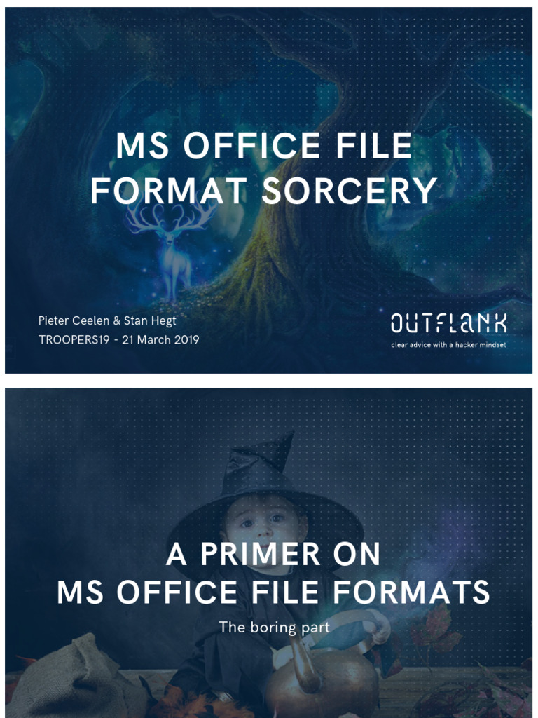 MS Office File Format Exploits | PDF | Microsoft Excel | Windows Registry