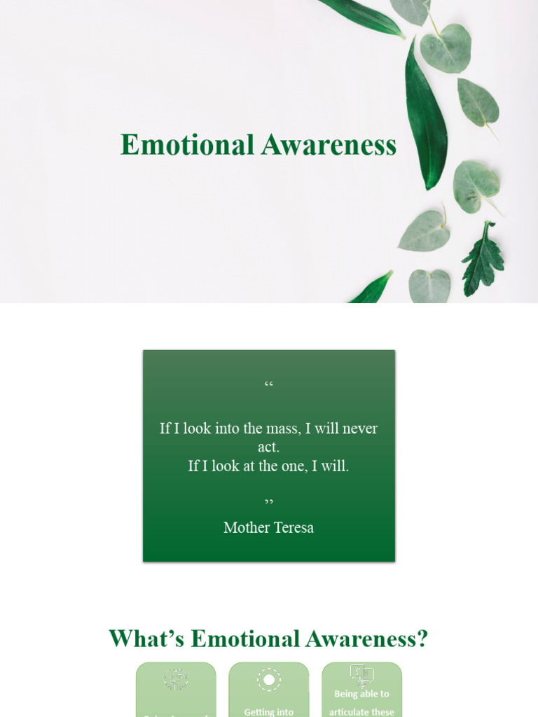 Emotional Awareness | PDF | Emotions | Stress (Biology)