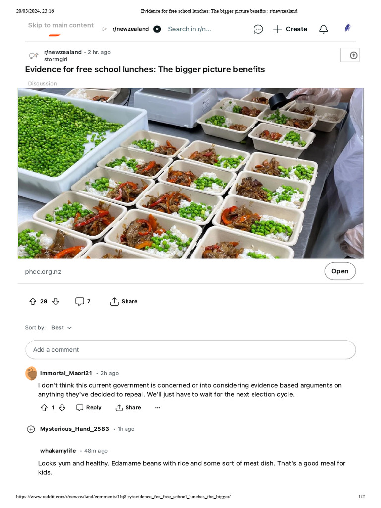 NZ Free School Lunches Debate | PDF