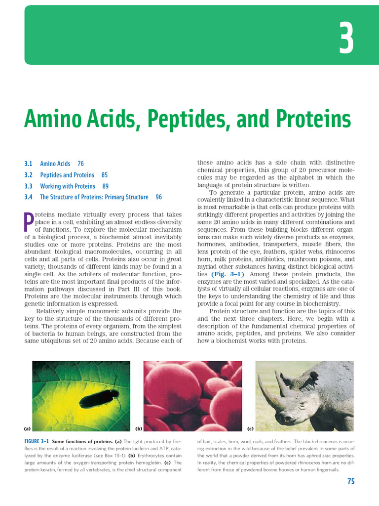 Lehninger Principles of Biochemistry, 6th Edition (PDFDrive) - 106-145 ...