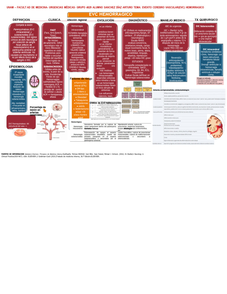 17EVC Hemorragico - ArturoSD | PDF | Medicina CLINICA | Enfermedades y trastornos