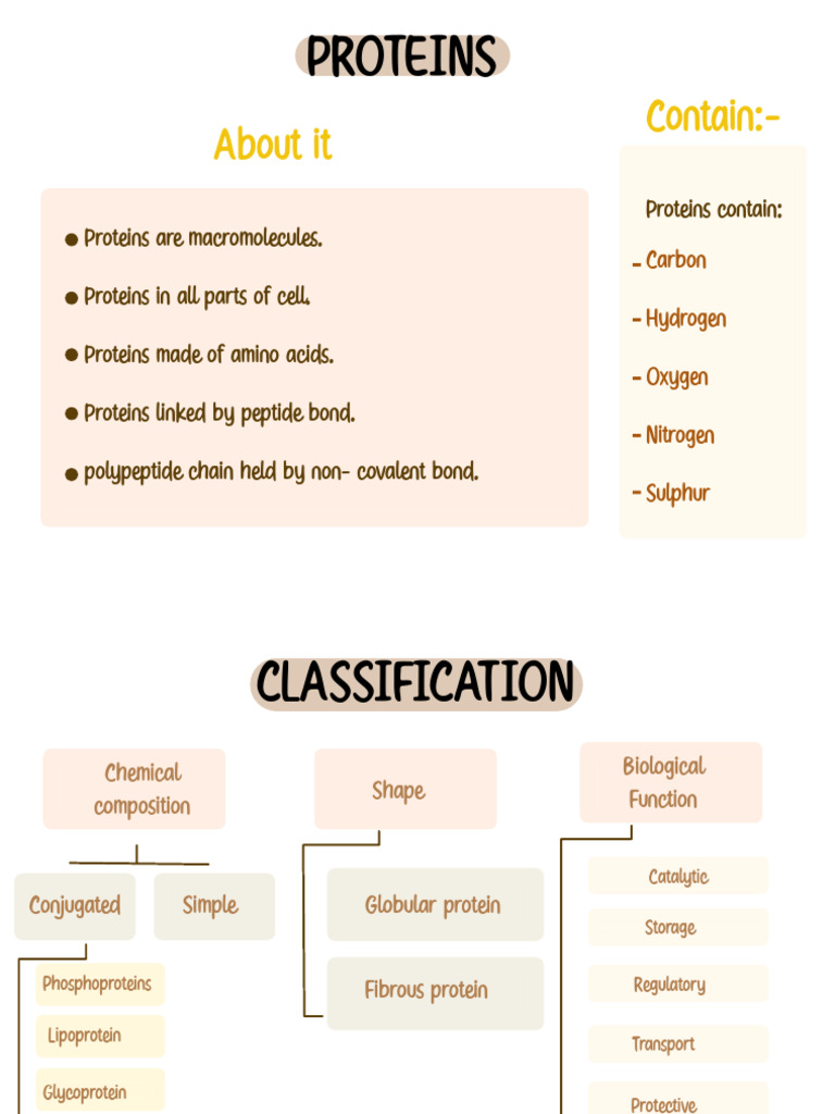 Proteins | PDF | Proteins | Amino Acid