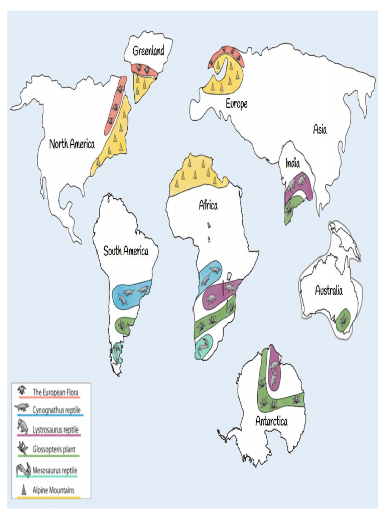 G10-Wegener's Puzzle Hand Outs | PDF