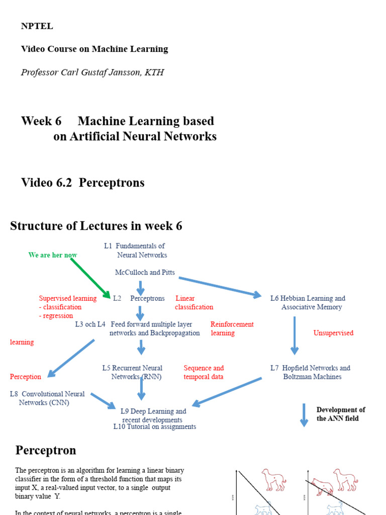 Perceptrons | PDF | Artificial Neural Network | Statistical Classification