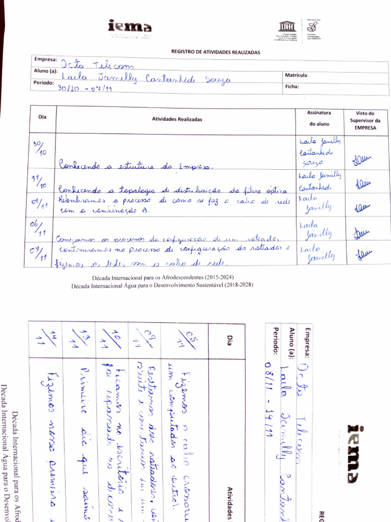Registro de Atividades Realizadas | PDF