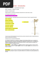 Anatomie Du Squelette | PDF | Colonne vertébrale | Vertèbre