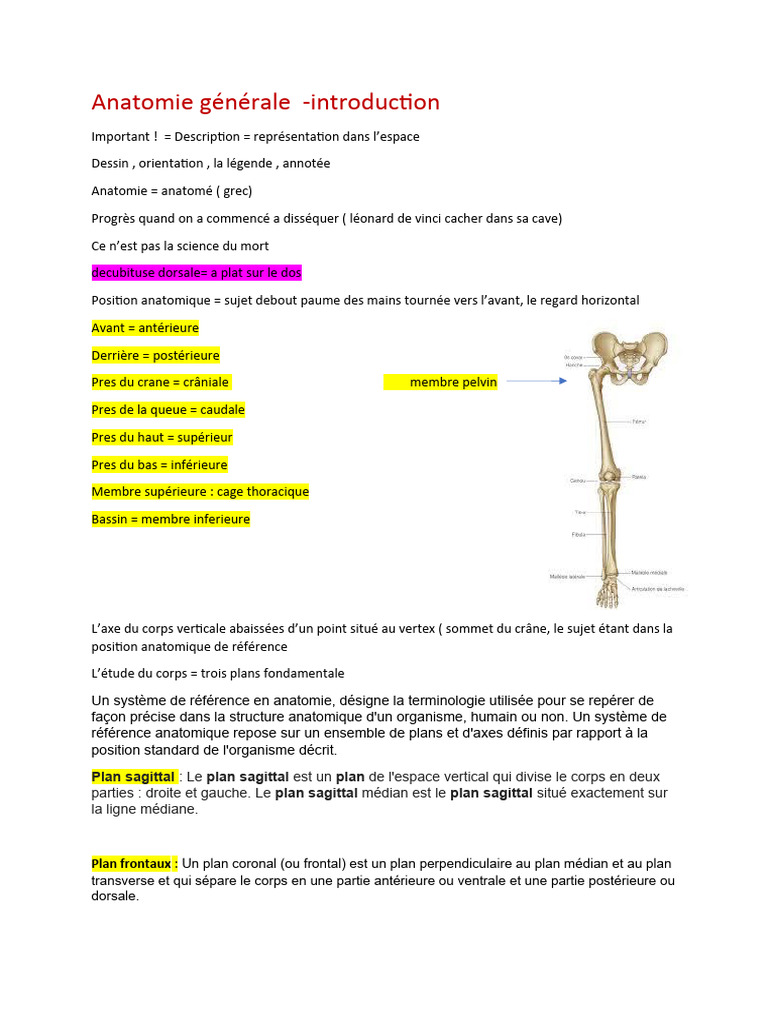 Introduction à l'anatomie générale | PDF | Système de référence en ...