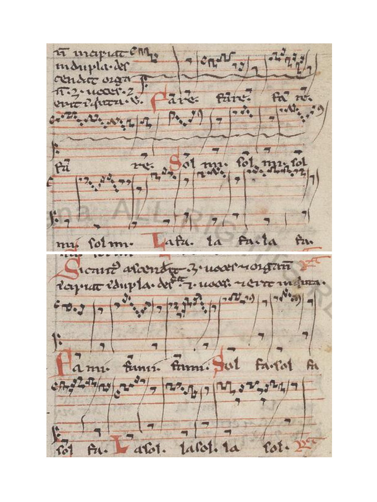 Vaticanum Organum Treatise | PDF