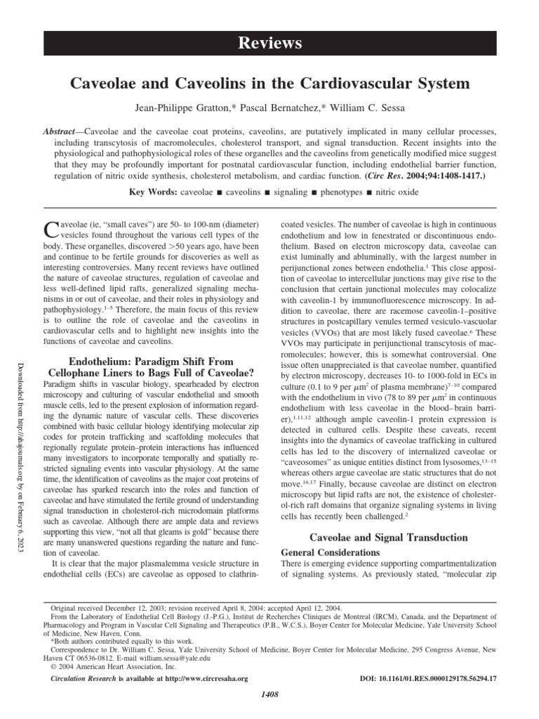 2004.caveolae and Caveolins in The Cardiovascular System | PDF | Cell ...