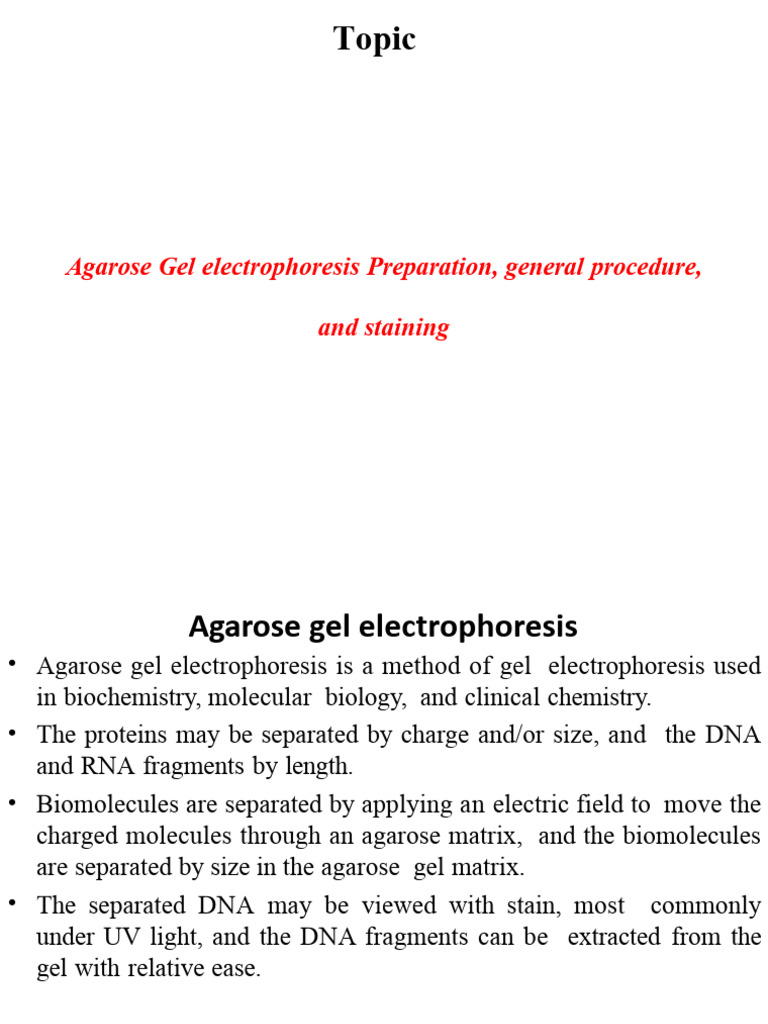 Agarose Gel Electrophoresis Lecture | Download Free PDF | Agarose Gel ...