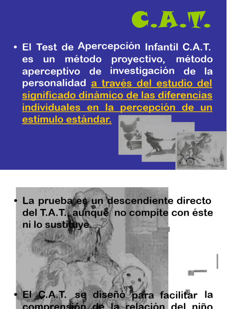 CAT Test | PDF | Sicología | Ciencias del comportamiento