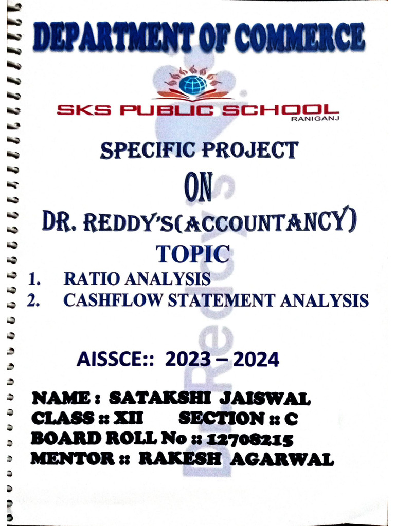 Accountancy Project | PDF