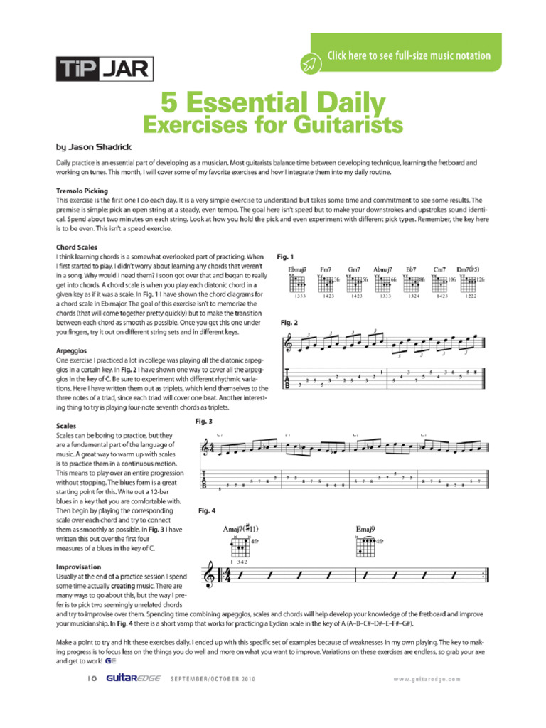 5 Essential Daily Exercises | PDF