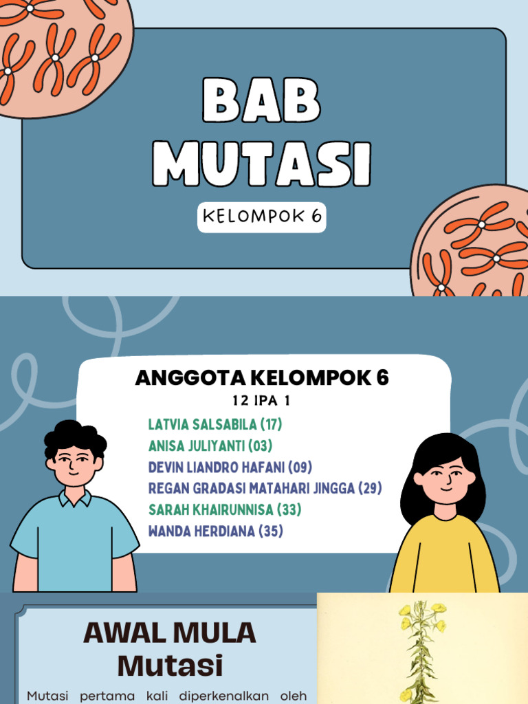 Mutasi Biologi Kelas 12 | PDF