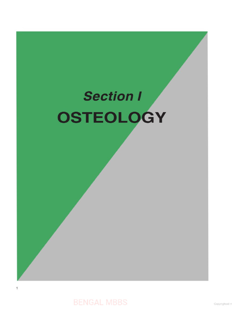 Samar Mitra Osteology | PDF