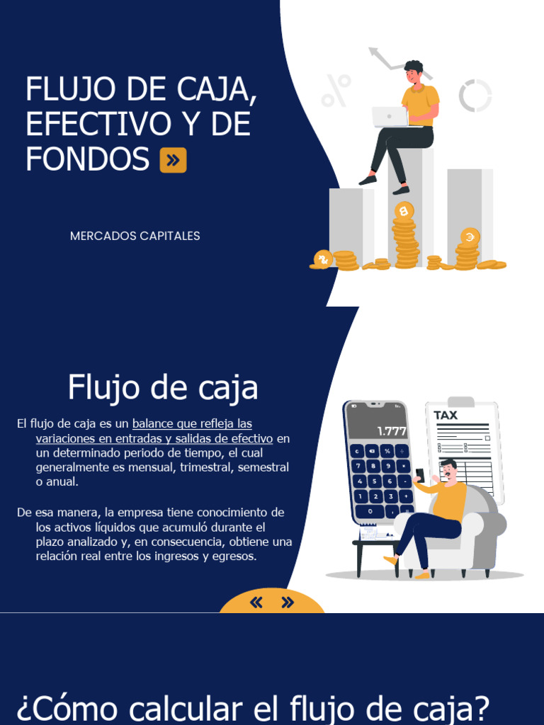 FLUJO DE CAJA | PDF | Flujo de efectivo | Sector privado