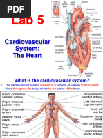 Frog Heart Rate and ECG Analysis | PDF | Heart | Heart Rate