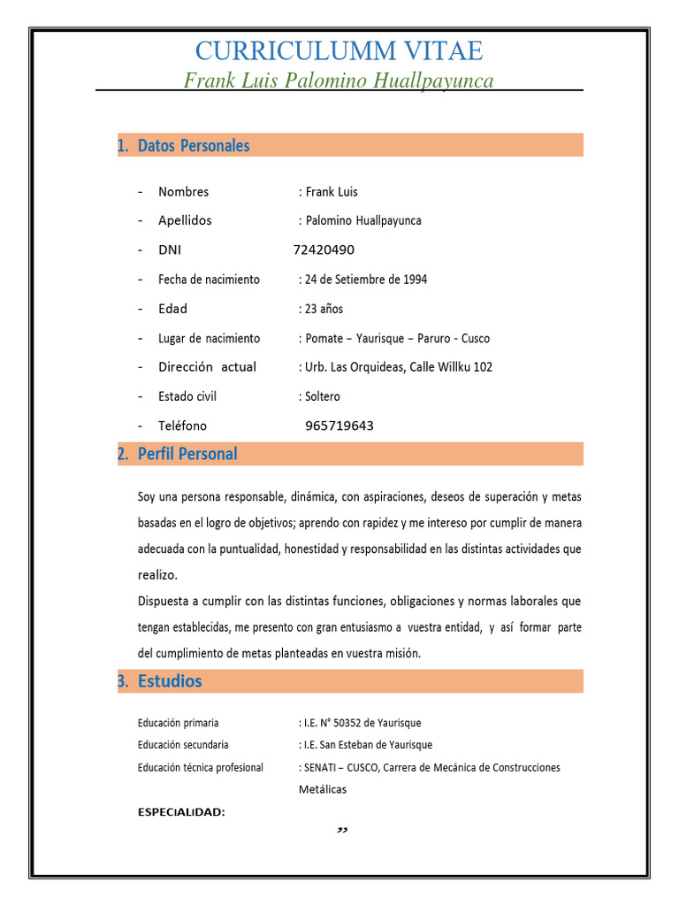 CV - Frank Palomino - Soldador Homologado | PDF | Soldadura | Construcción
