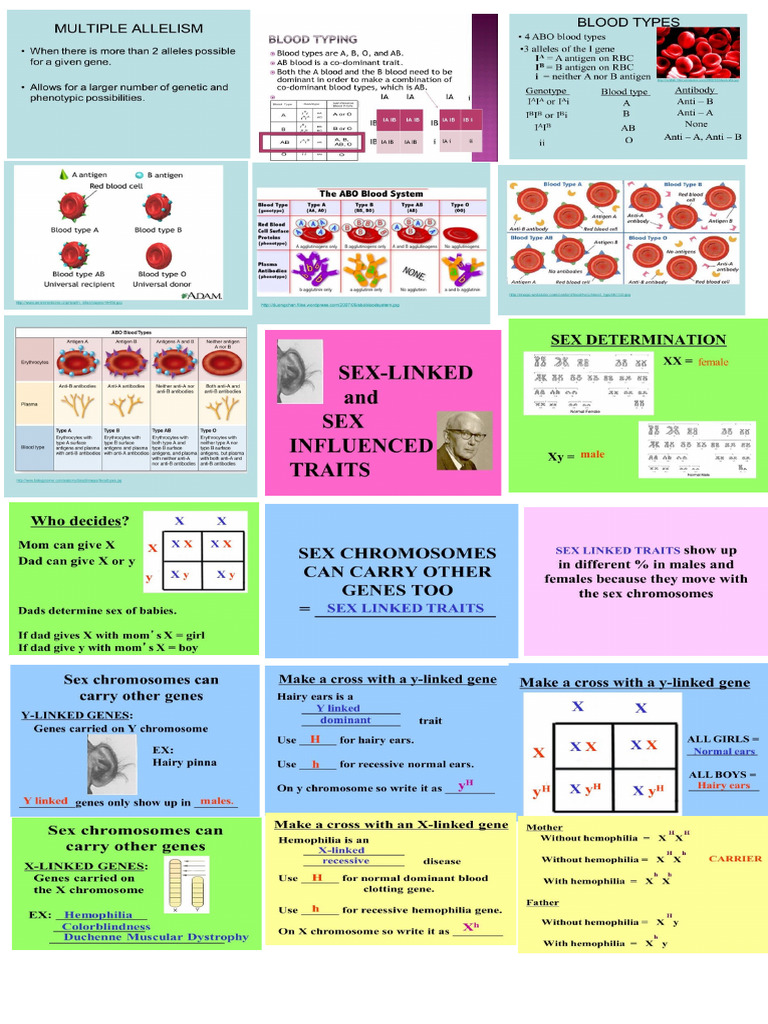 Scie | PDF