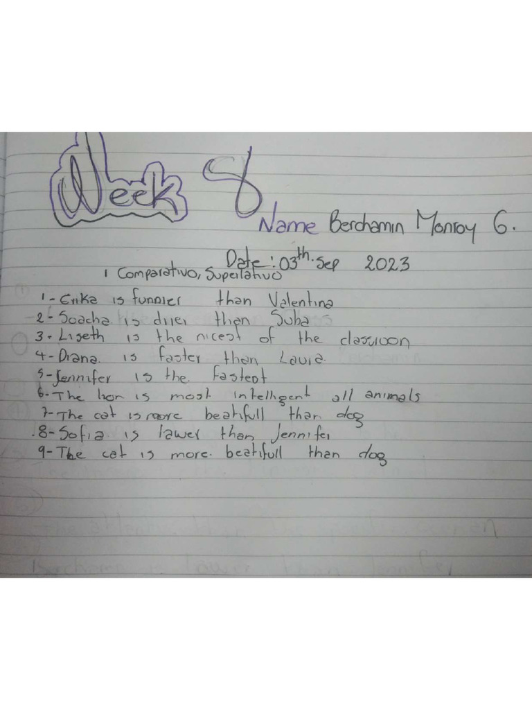 Emma's Daily Routine and Preferences | PDF