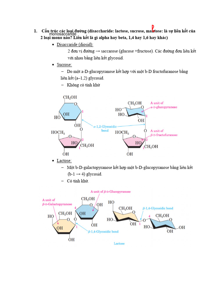 1. Cấu trúc các loại đường (disaccharide: lactose, sucrose, mantose: là ...