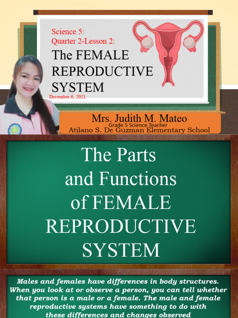 Grade 5 Science-Quarter 2 - Lesson 2 - The Female Reproductive System ...