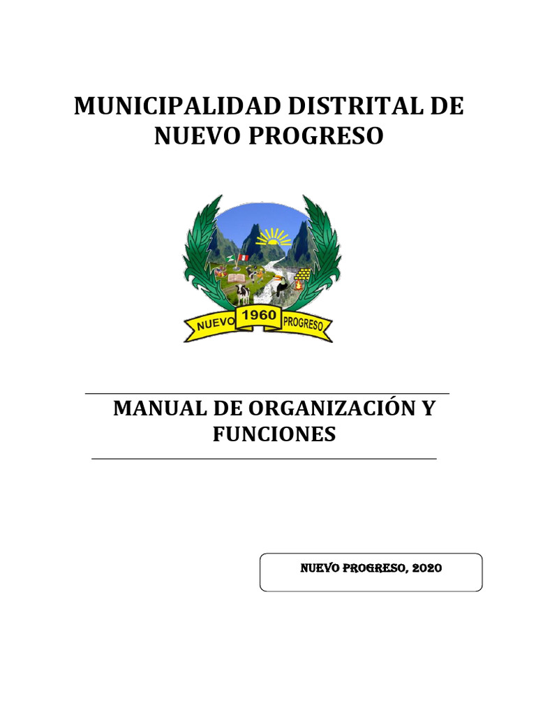 Manual de Organizacion y Funciones 2020 Ok | PDF | Gobierno local | Alcalde