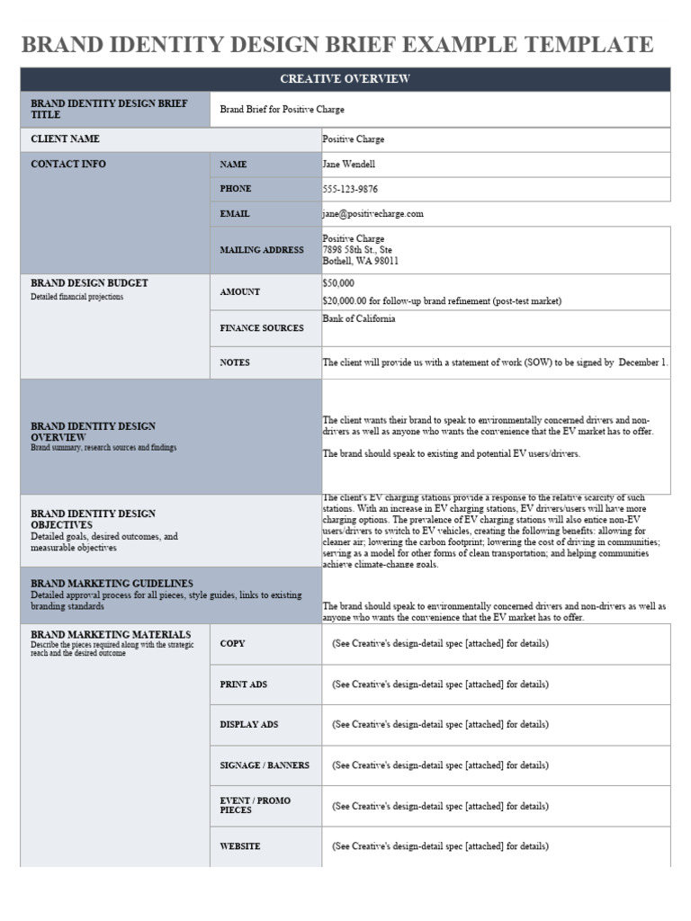 Positive Charge Brand Identity Brief | PDF | Target Audience | Brand
