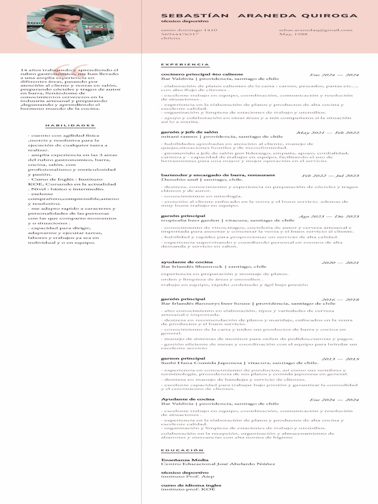 C.V. Final Sebas Araneda | PDF