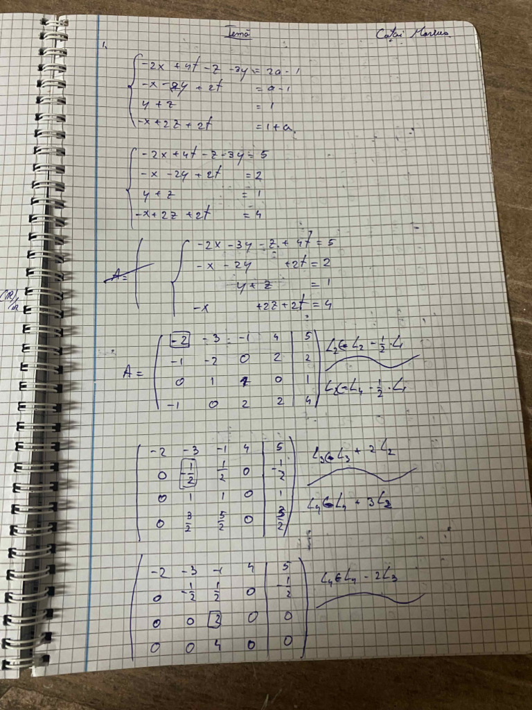 Tema Algebra | PDF