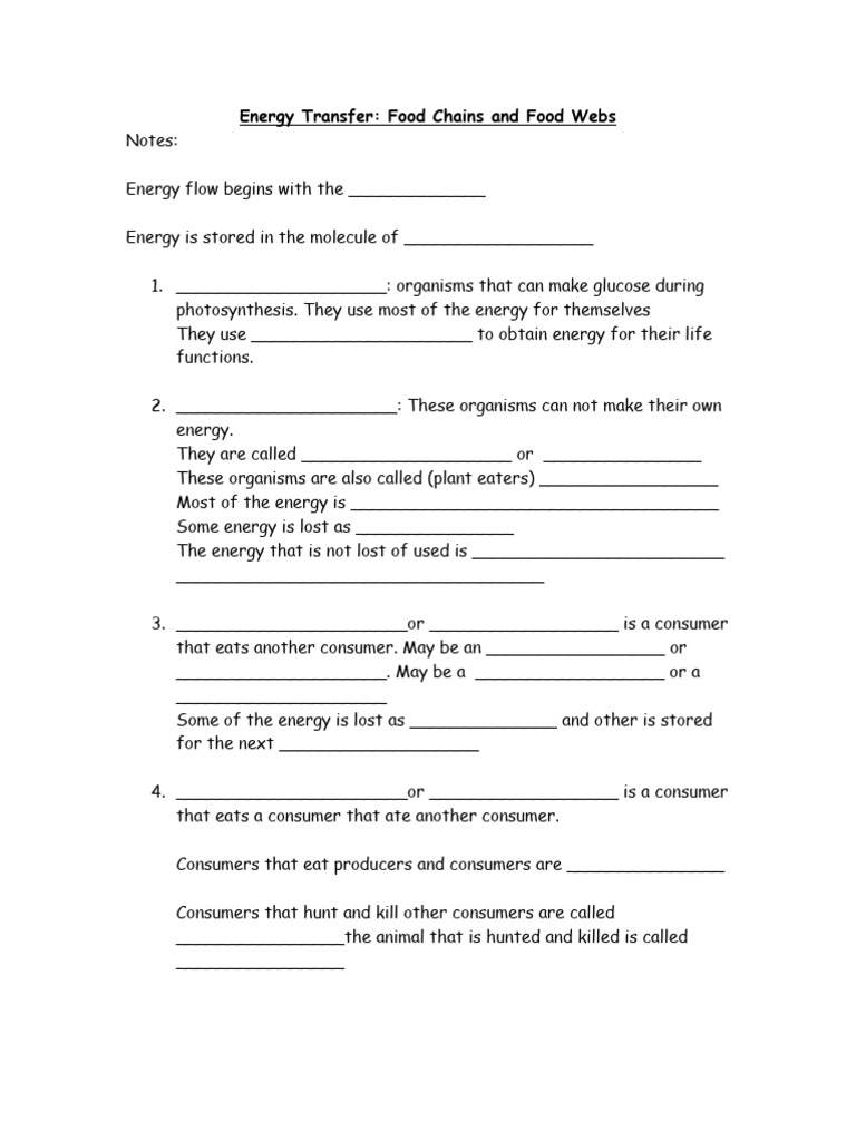 Energy Transfer Notes | PDF | Foods | Food Web