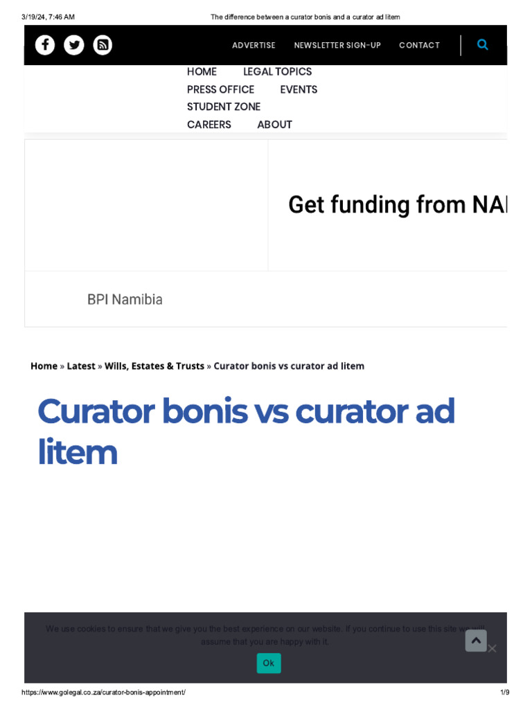 The Difference Between A Curator Bonis and A Curator Ad Litem | PDF