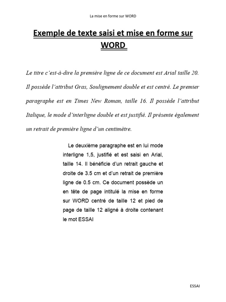 Exemples de mise en forme sur Word | PDF