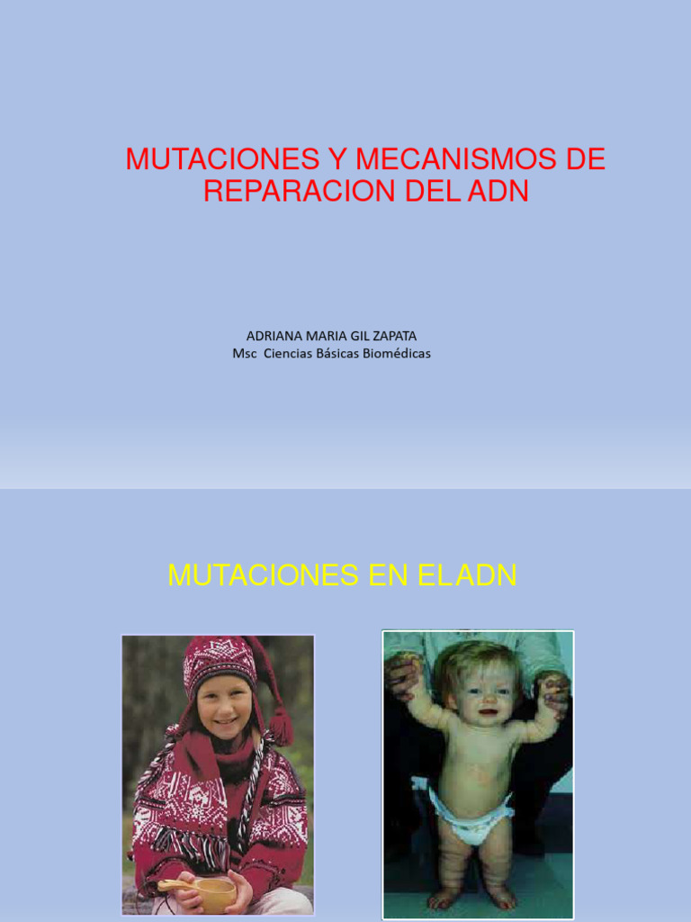 Mutaciones y Mecanismos de Reparacion Del ADN | PDF | Reparación de adn | Mutación