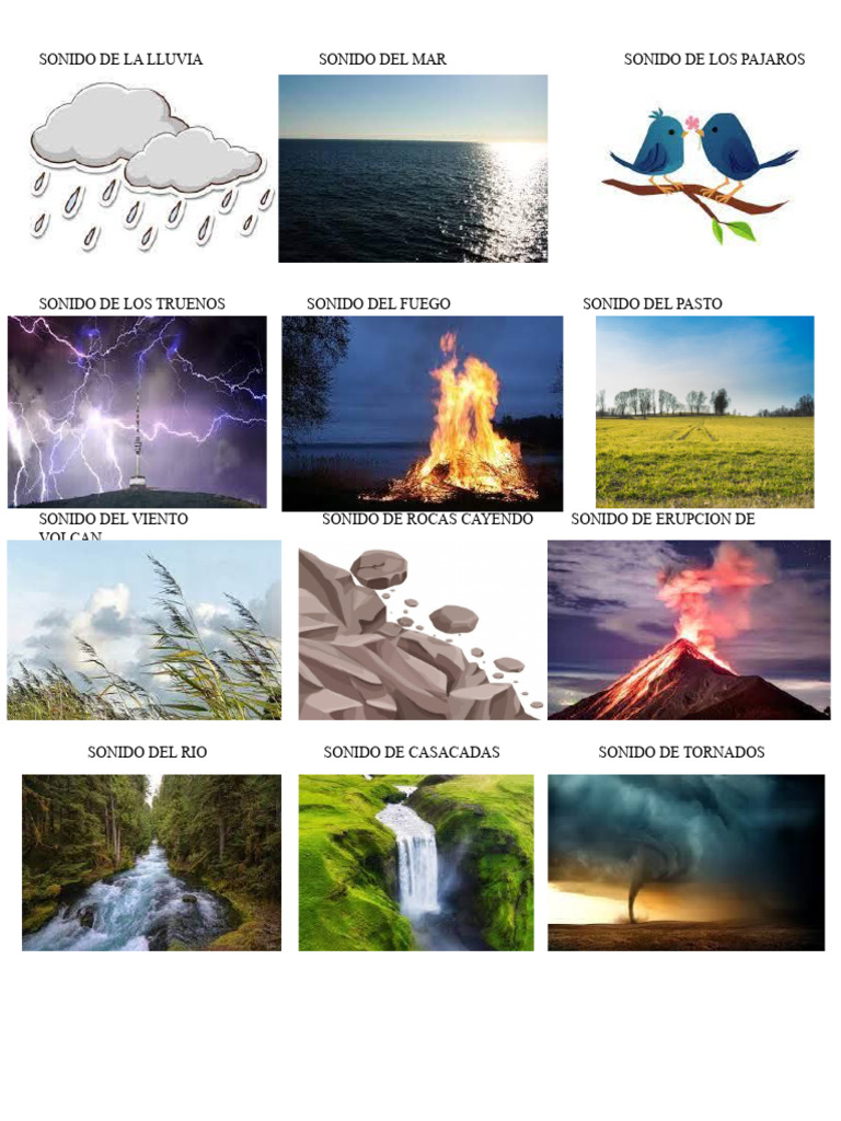 Sonidos de Los Elementos de La Naturaleza | PDF