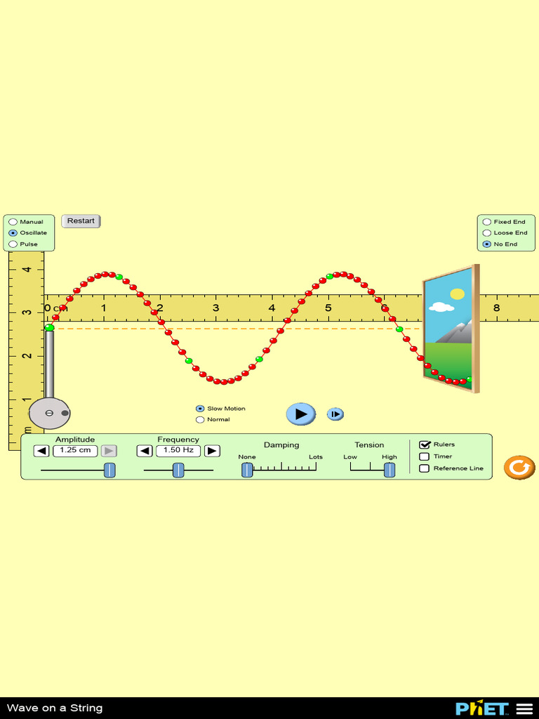 Wave on a String Experiment Guide | PDF