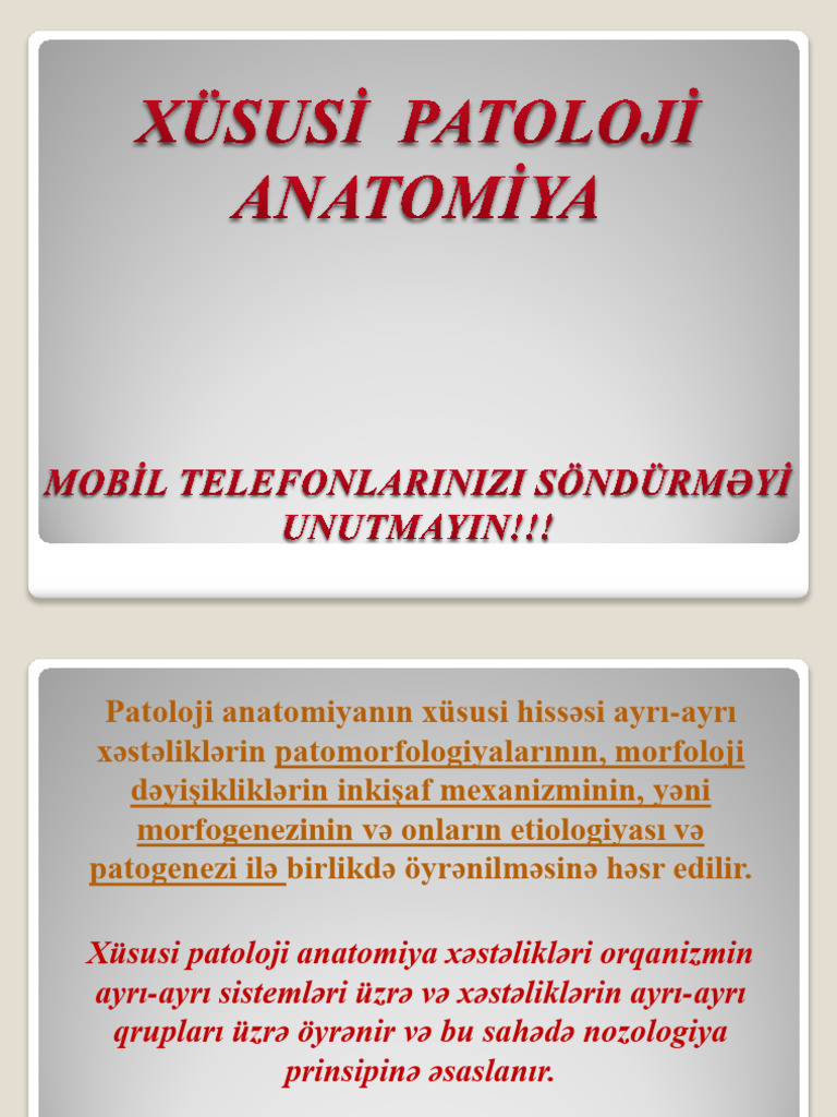 Muh 1 Xususipatanatomiya 2024 Yaz | PDF