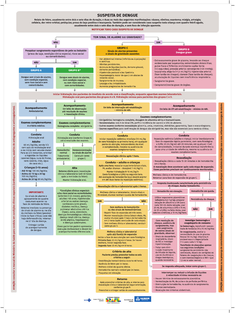Cartaz Fluxograma Suspeita de Dengue - TAM A3 SSA | PDF