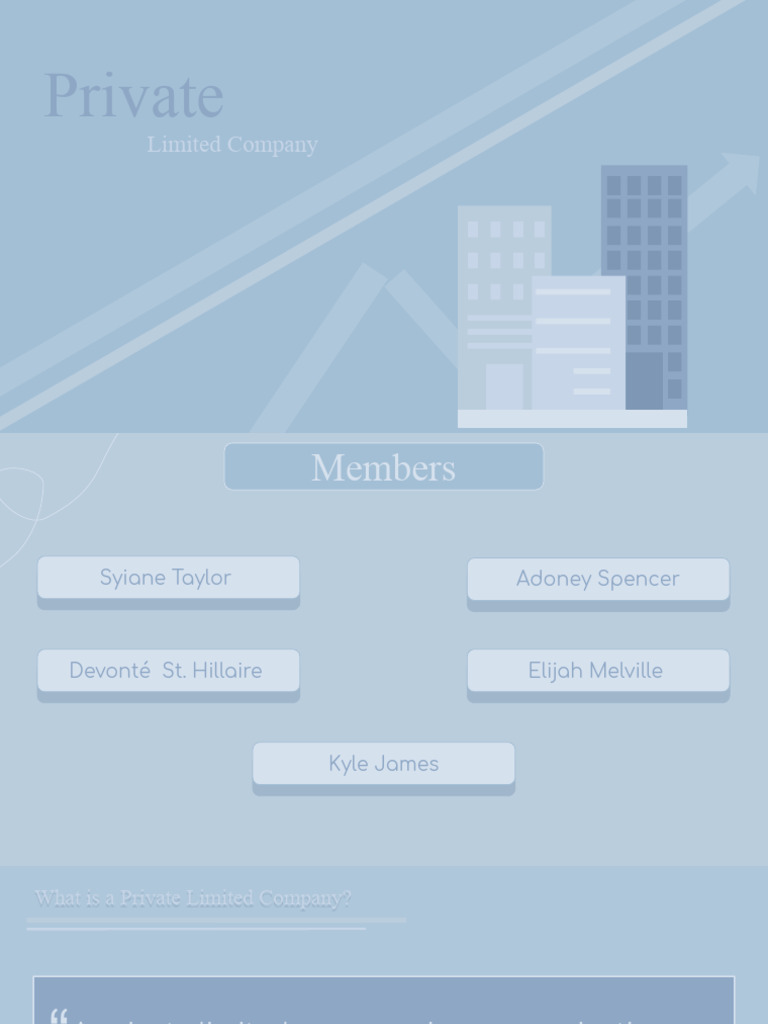 Private Limited Company Powerpoint | PDF