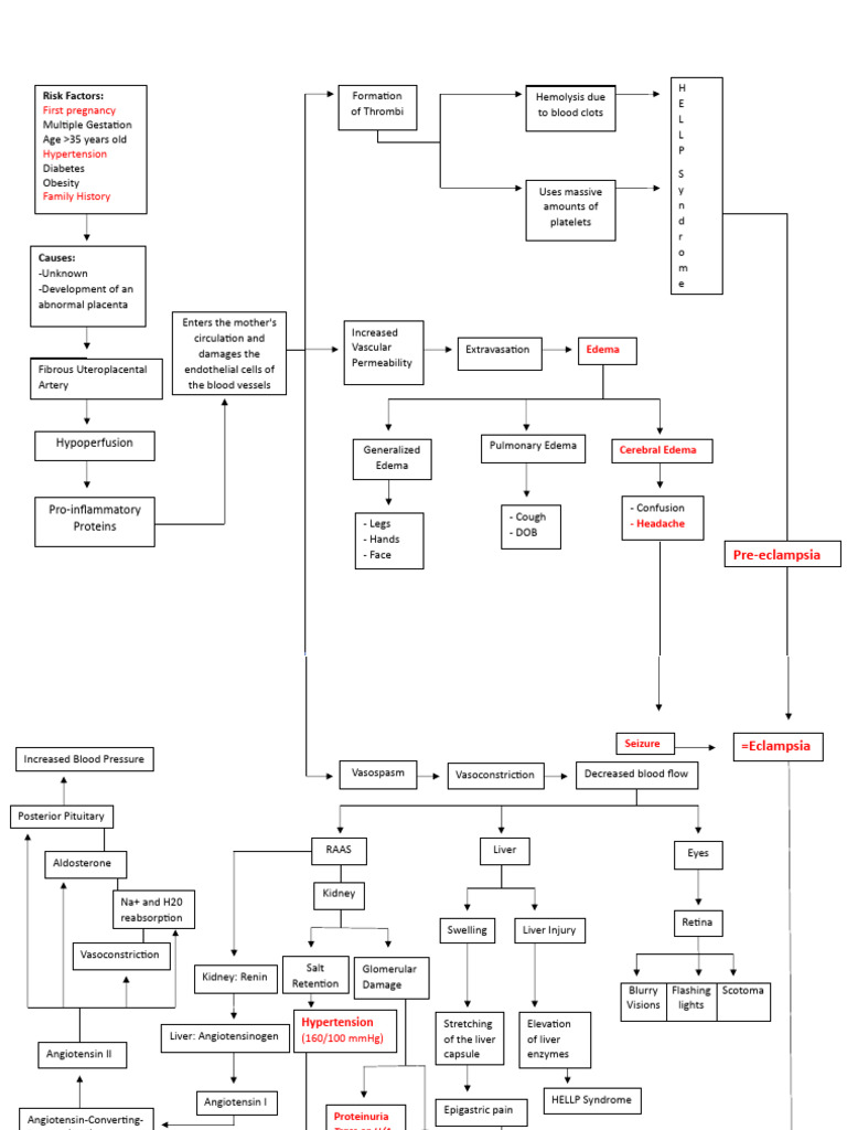 Diagram Eclampsia | PDF | Angiotensin | Hypertension
