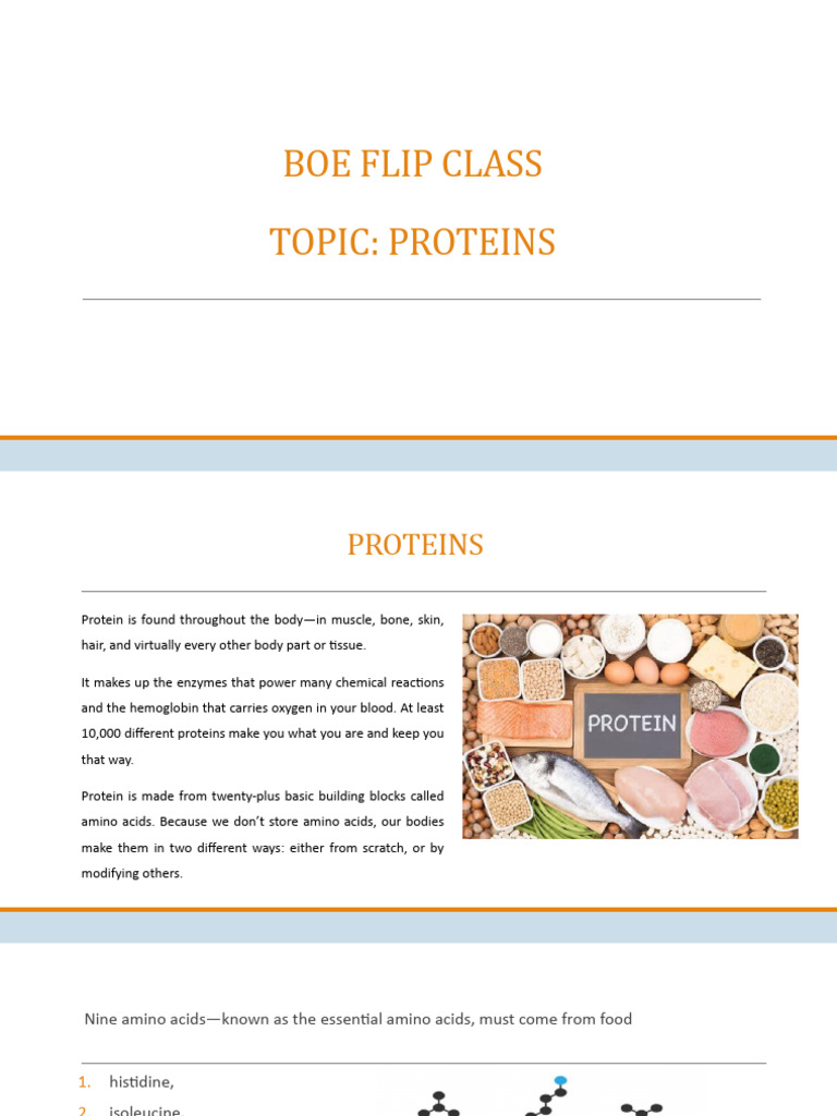 Boe Flip Class | PDF | Proteins | Meat